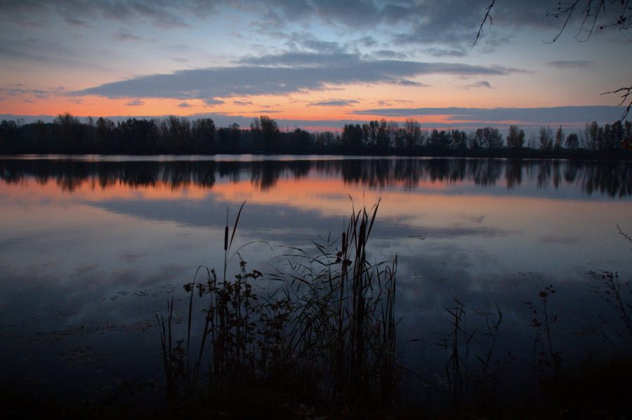 A propos... - Que vienne l'aube